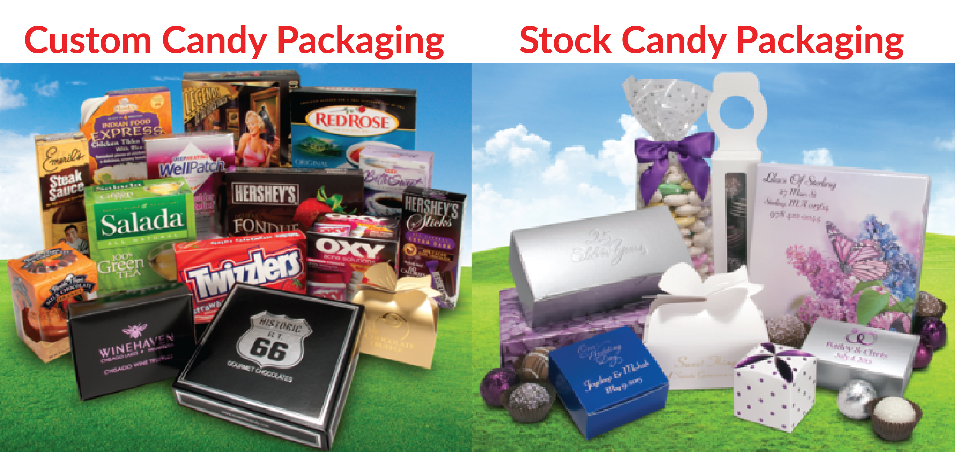 Snow Globe Packaging